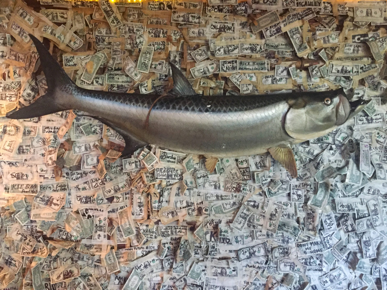 Cabbage Key: Cheeseburger in Paradise