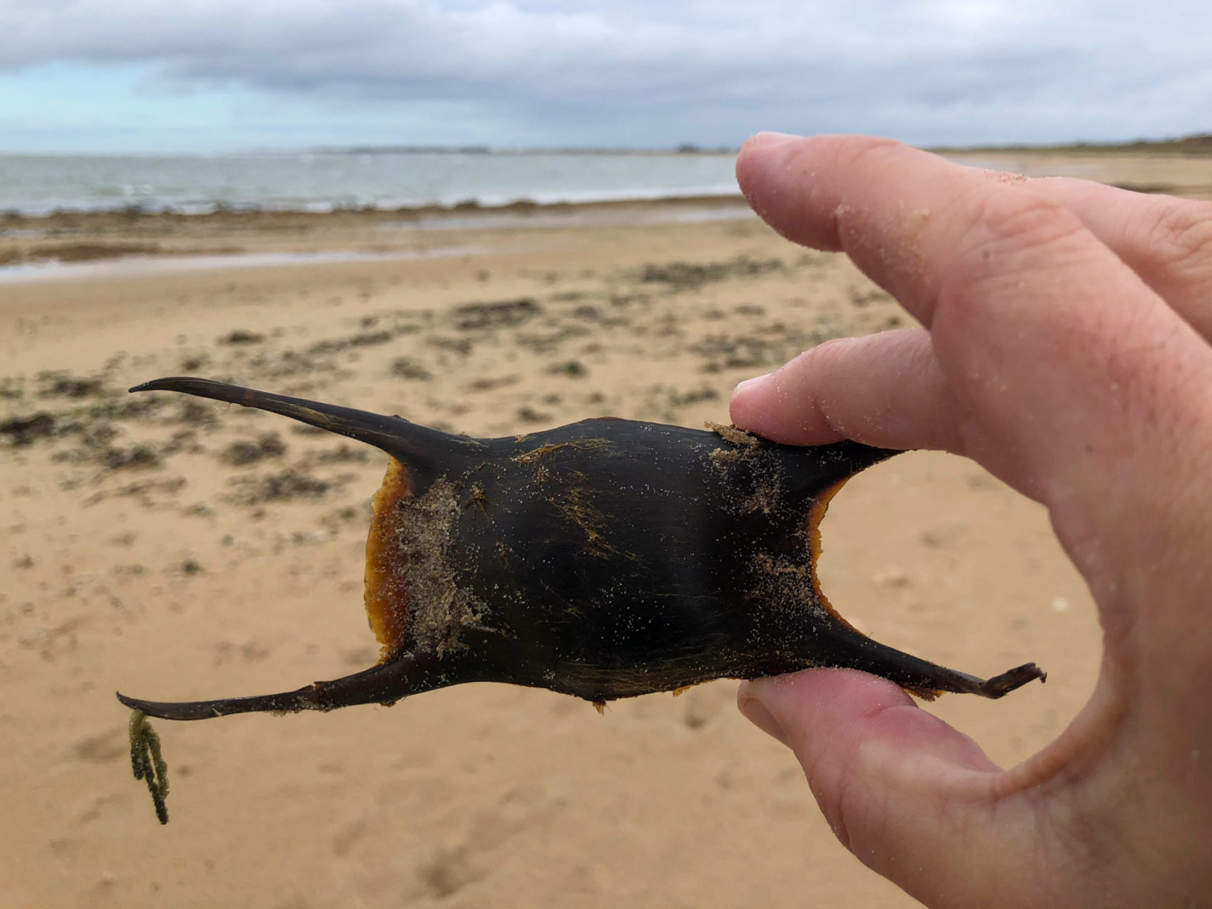 Französische Atlantikküste: ein Roadtrip mit kleinen Abenteuern