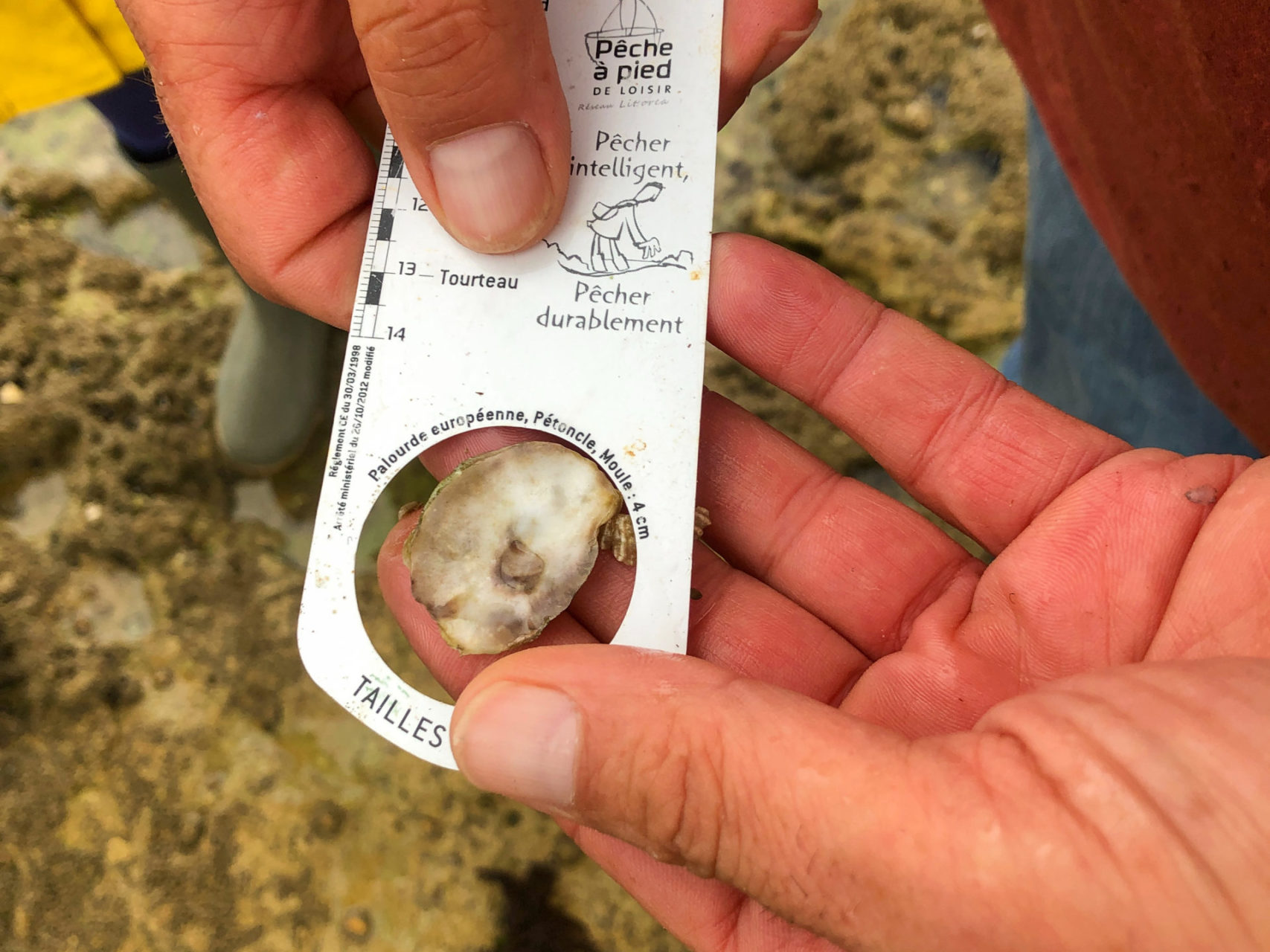 Französische Atlantikküste: ein Roadtrip mit kleinen Abenteuern